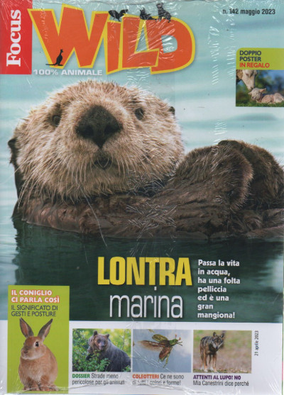 Focus Junior + Focus Wild - n. 232/2023 - 2 riviste | Italiano EDICOLA SHOP